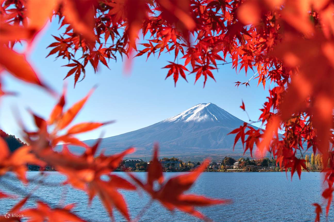 Tour in autobus da Tokyo al Monte Fuji, Parco Arakurayama, Oshino ...